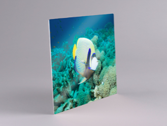 Chromaluxe Photo Panels – Wallaby Clothing